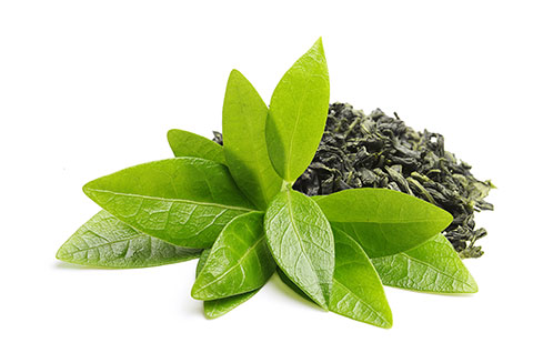Green Tea Polyphenols - CPL Business Consultants