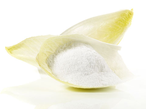 Fructo-oligosaccharides (FOS) Market - CPL Business Consultants