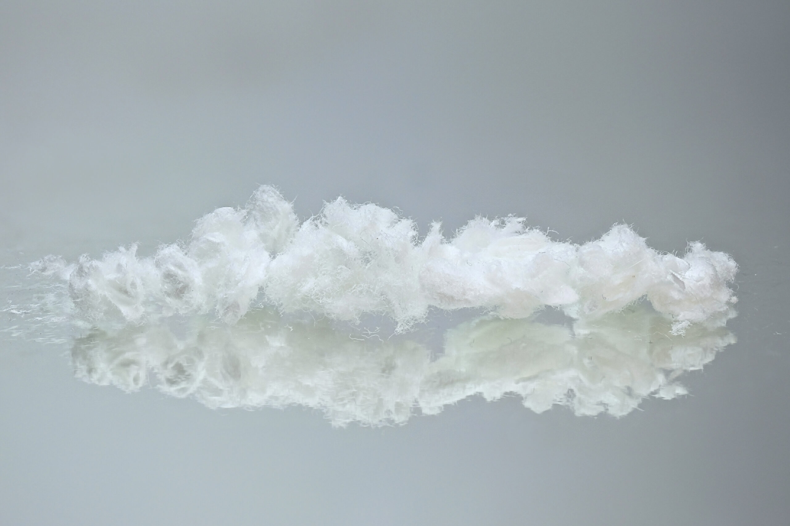 Cellulose Powder Market - CPL Business Consultants