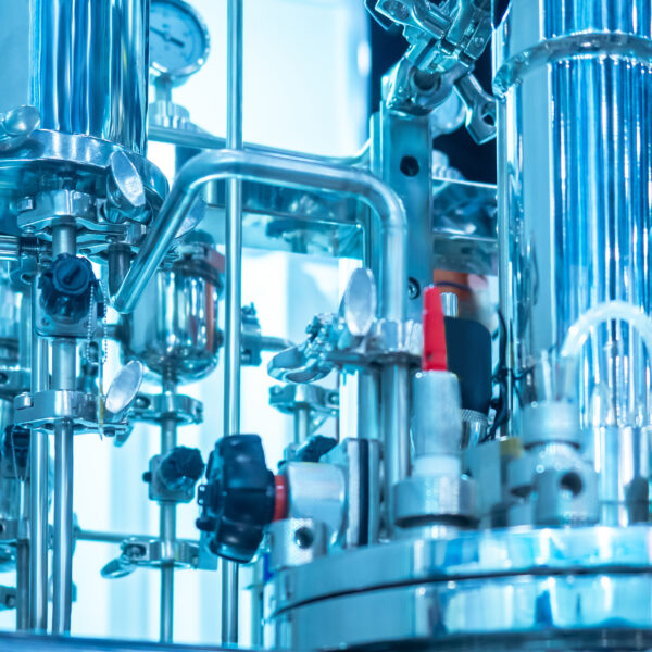 Diversified Ingredients Investment Overview - CPL Business Consultants